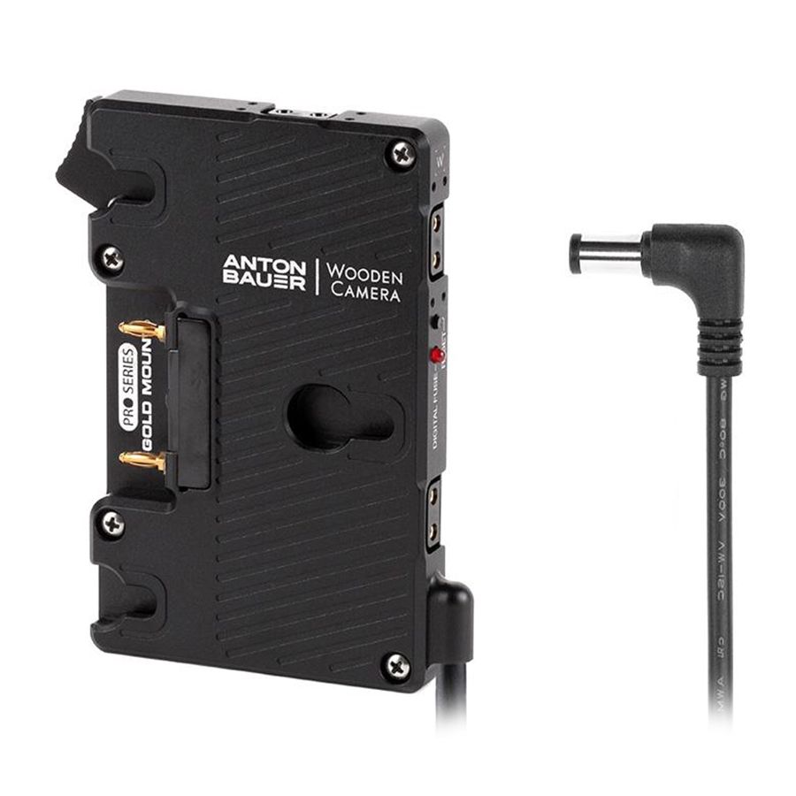 Pro Gold Mount Battery Bracket Sony (FS7, FS5) & Panasonic (EVA1 ...