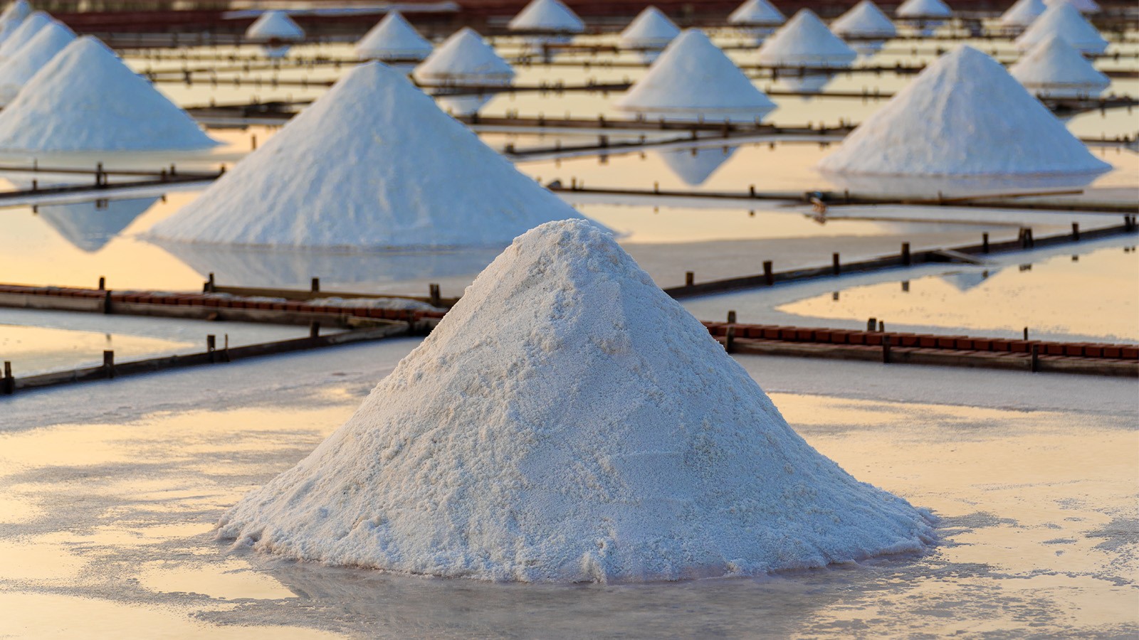 Power Up Your Sustainable Production Score | Anton Bauer